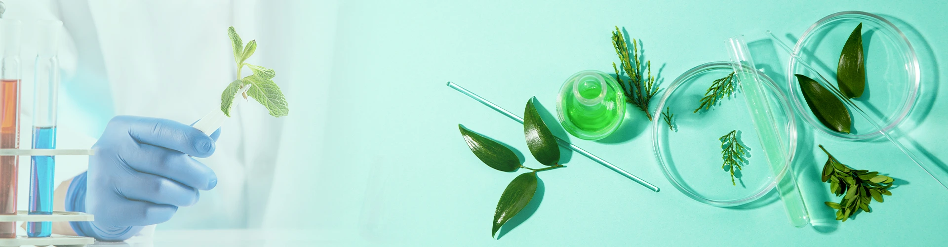 Learn About Chemox Pharma: The Vision Of Our Pharma Company